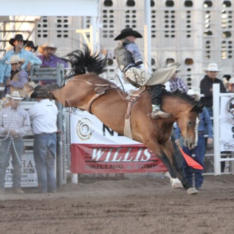 Taylor Arizona Independence Day and Night Rodeo - Things To Do in ...