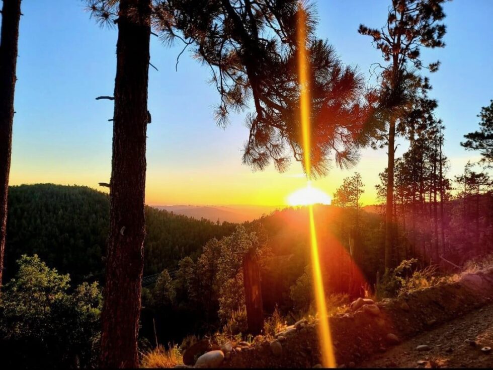 Beauty And Adventure In Alpine Arizona - Things To Do in Arizona White ...