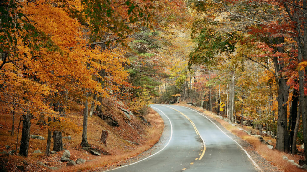 Best 10 Autumn Adventures in the Arizona White Mountains - Things To Do ...