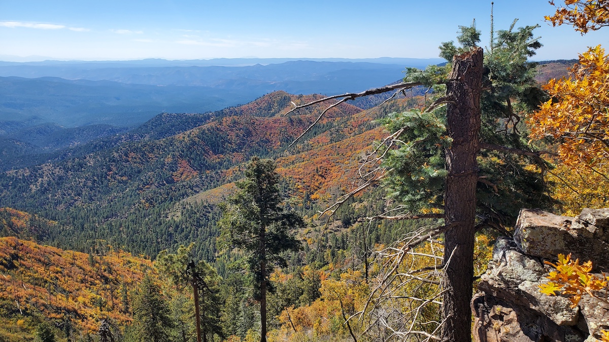 Blue Vista Overlook in the Arizona White Mountains - Things To Do in ...