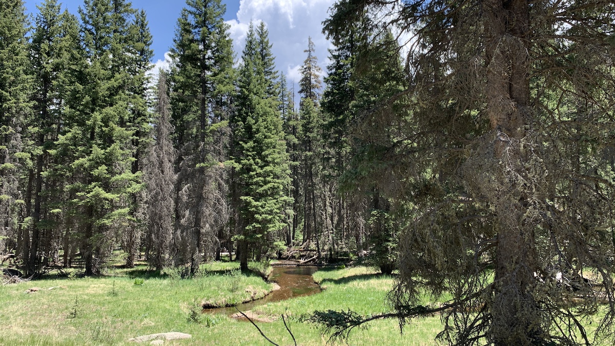 Thompson Trail 629 - Things To Do in Arizona White Mountains ...