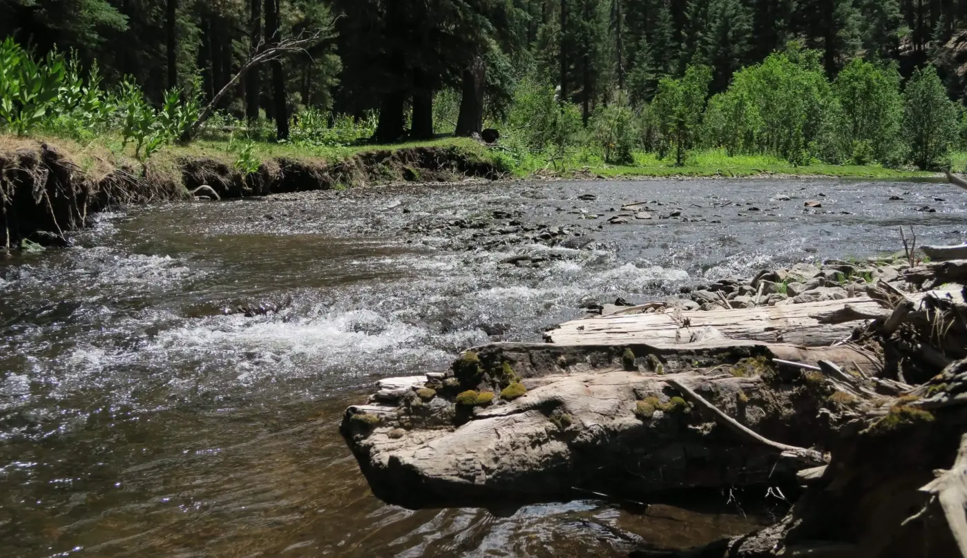 7 Best Hiking Trails Near Alpine Arizona - Things To Do in Arizona ...