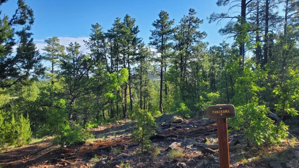 Panorama Trail Archives - Things To Do in Arizona White Mountains ...