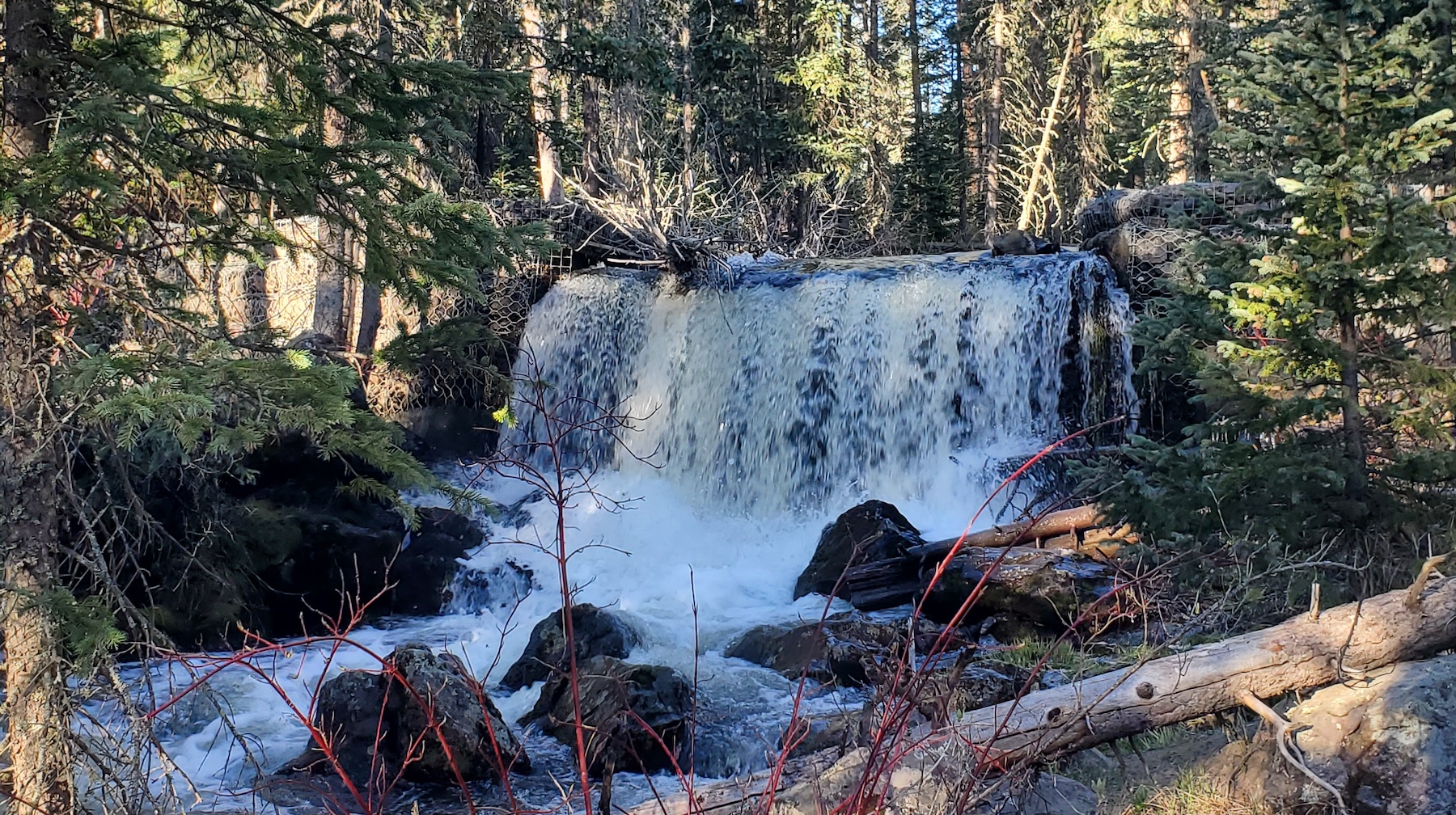 Discover the Beauty of Government Springs Trail in Arizona White ...