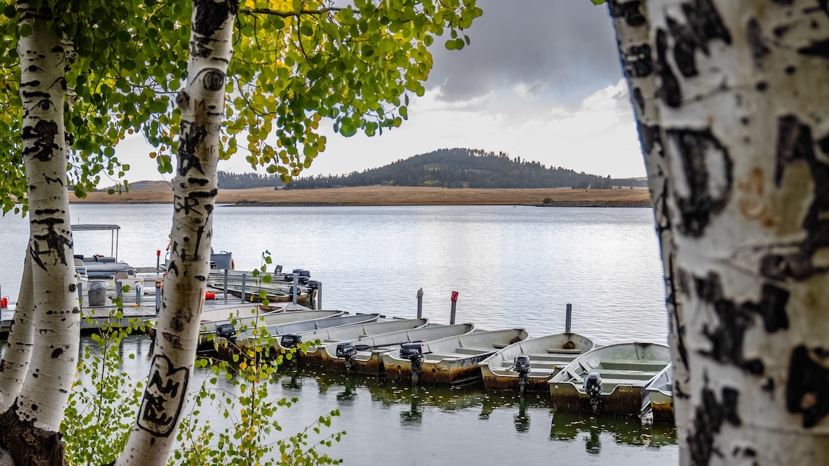 Celebrate National Fishing and Boating Week in the Arizona White ...