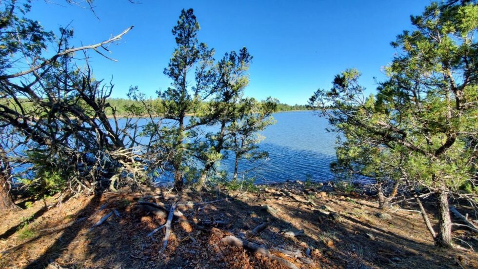 Beautiful Show Low Lake Trail: Hiking, Fishing, and Boating in the ...
