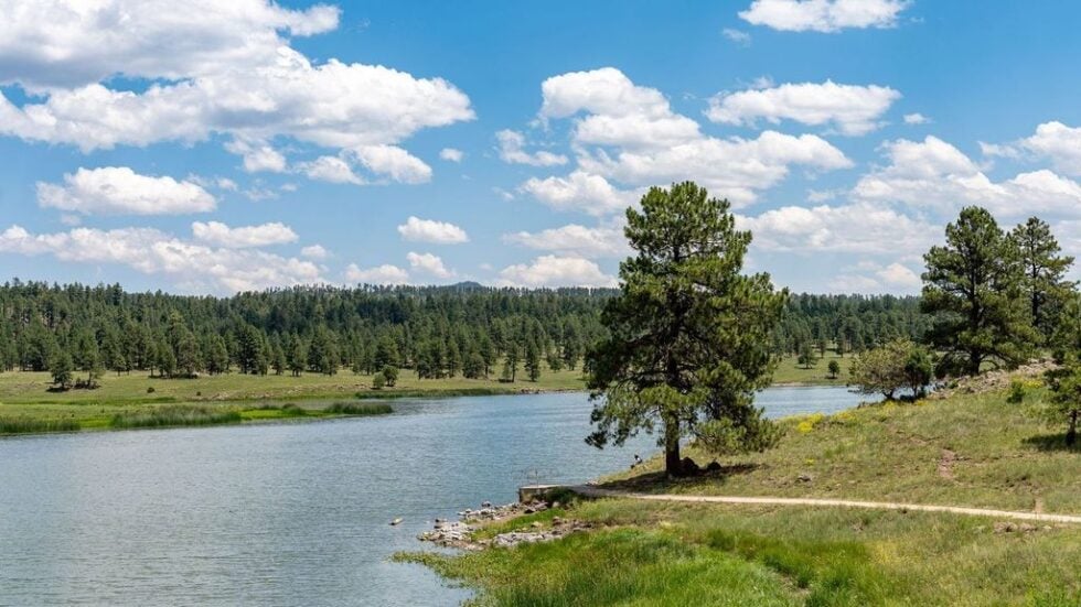 Beauty And Adventure In Alpine Arizona - Things To Do in Arizona White ...